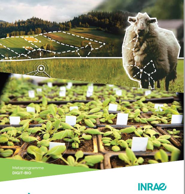 DIGIT-BIO metaprogramme